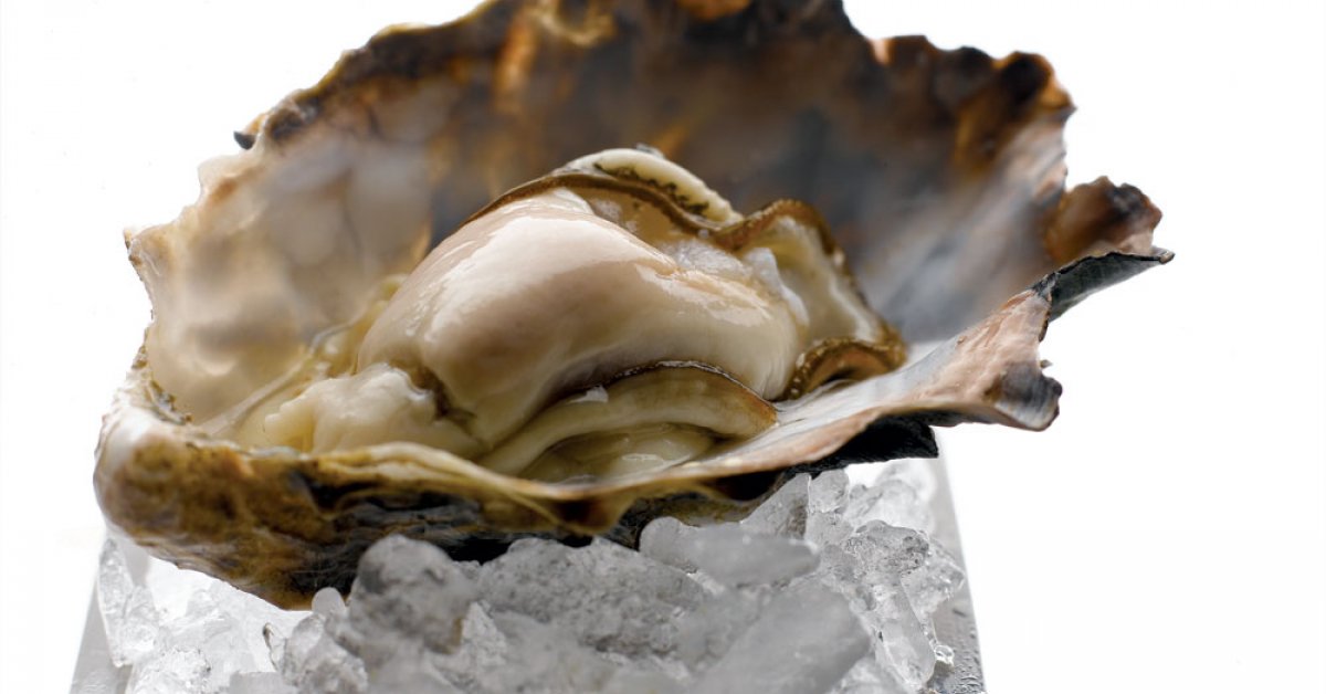 Barnacles Restaurant | SG Magazine Online