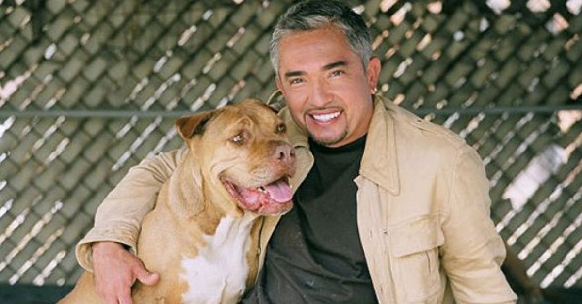 Interview Cesar Millan The Dog Whisperer SG Magazine Online Interview Cesar Millan The Dog Whisperer SG Magazine Online