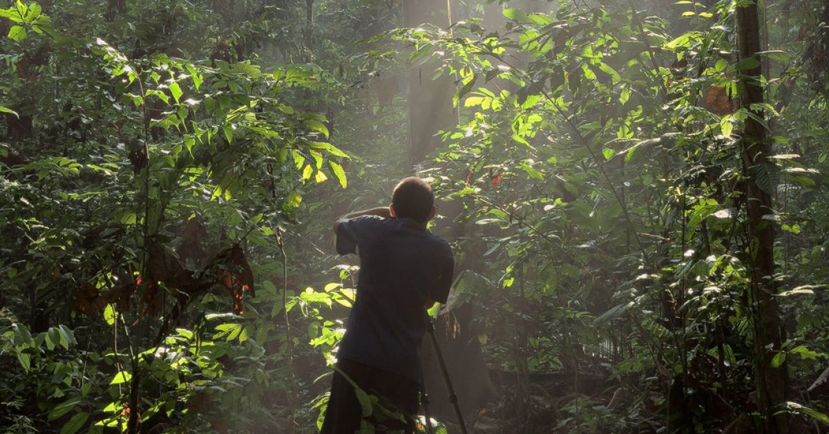Meet the man who’s photographed the lost spaces of nature in Singapore ...