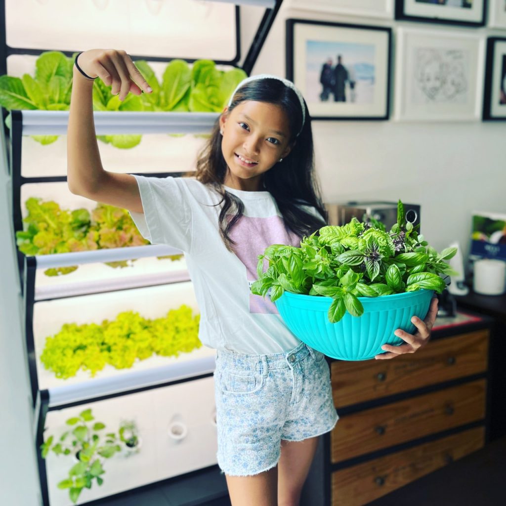 Grobrix for Home vertical farm helps you live sustainably, eat well ...