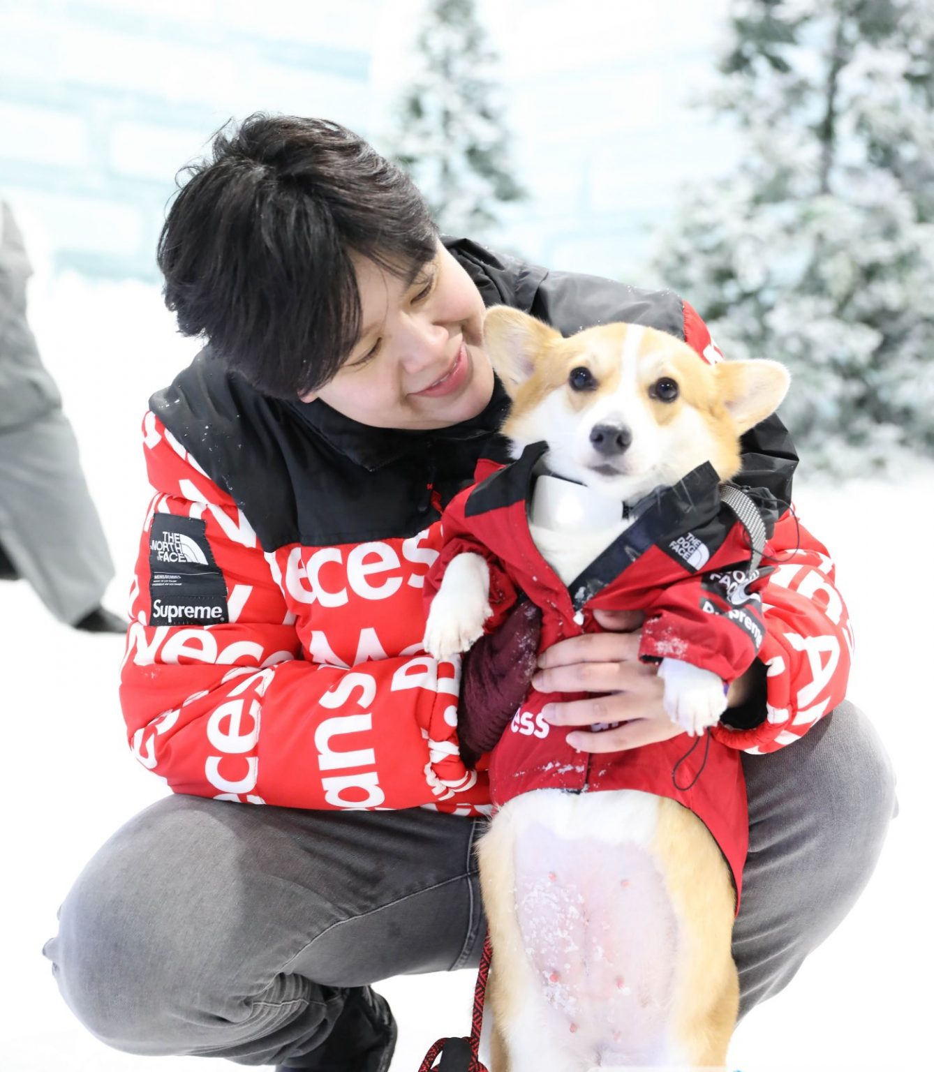 Chill out at Singapore’s first-ever dog winter event, 4 Paws @ Ice ...