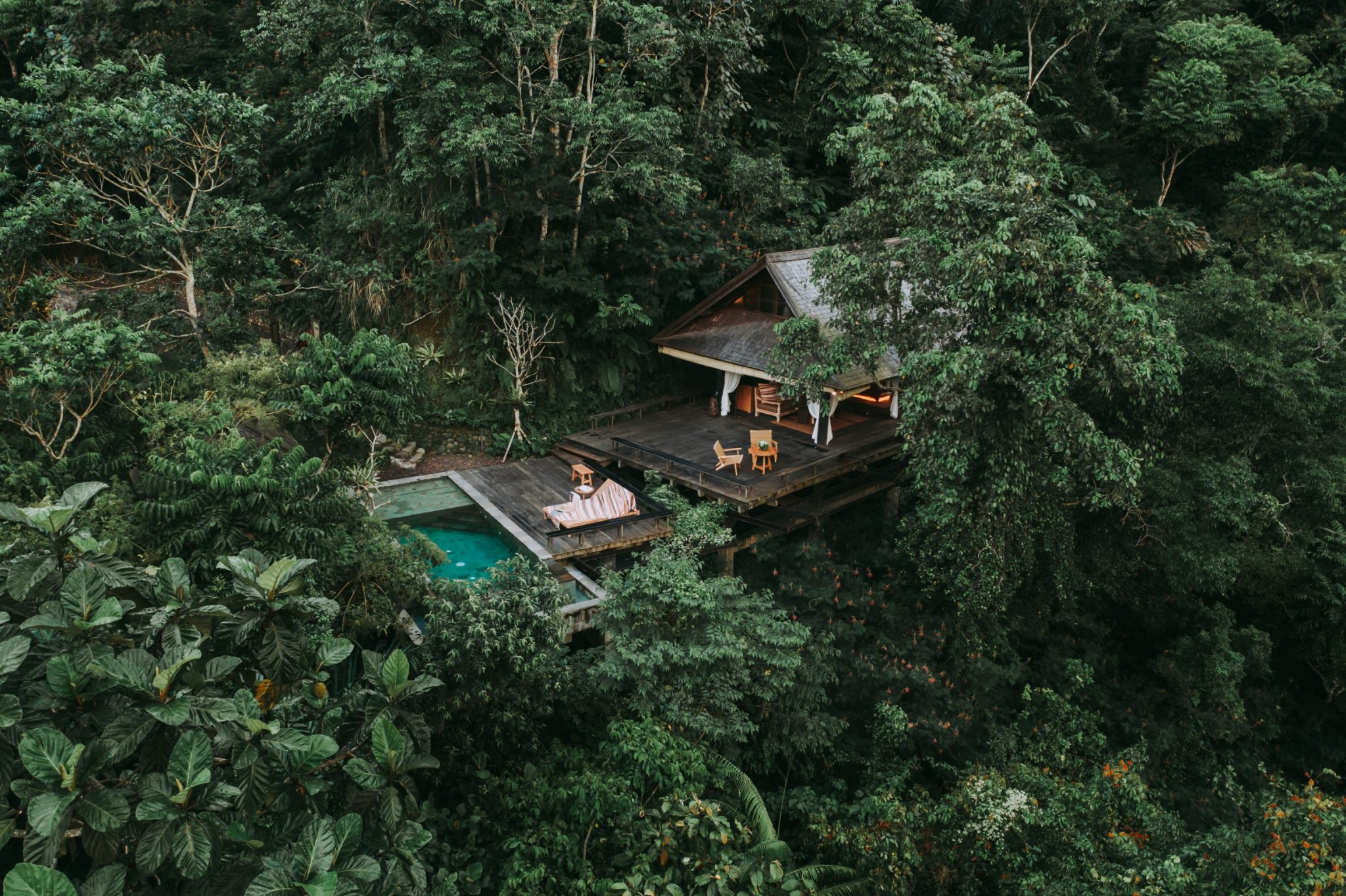 Infinite layers of green unveil nature’s delights at Buahan, a Banyan ...