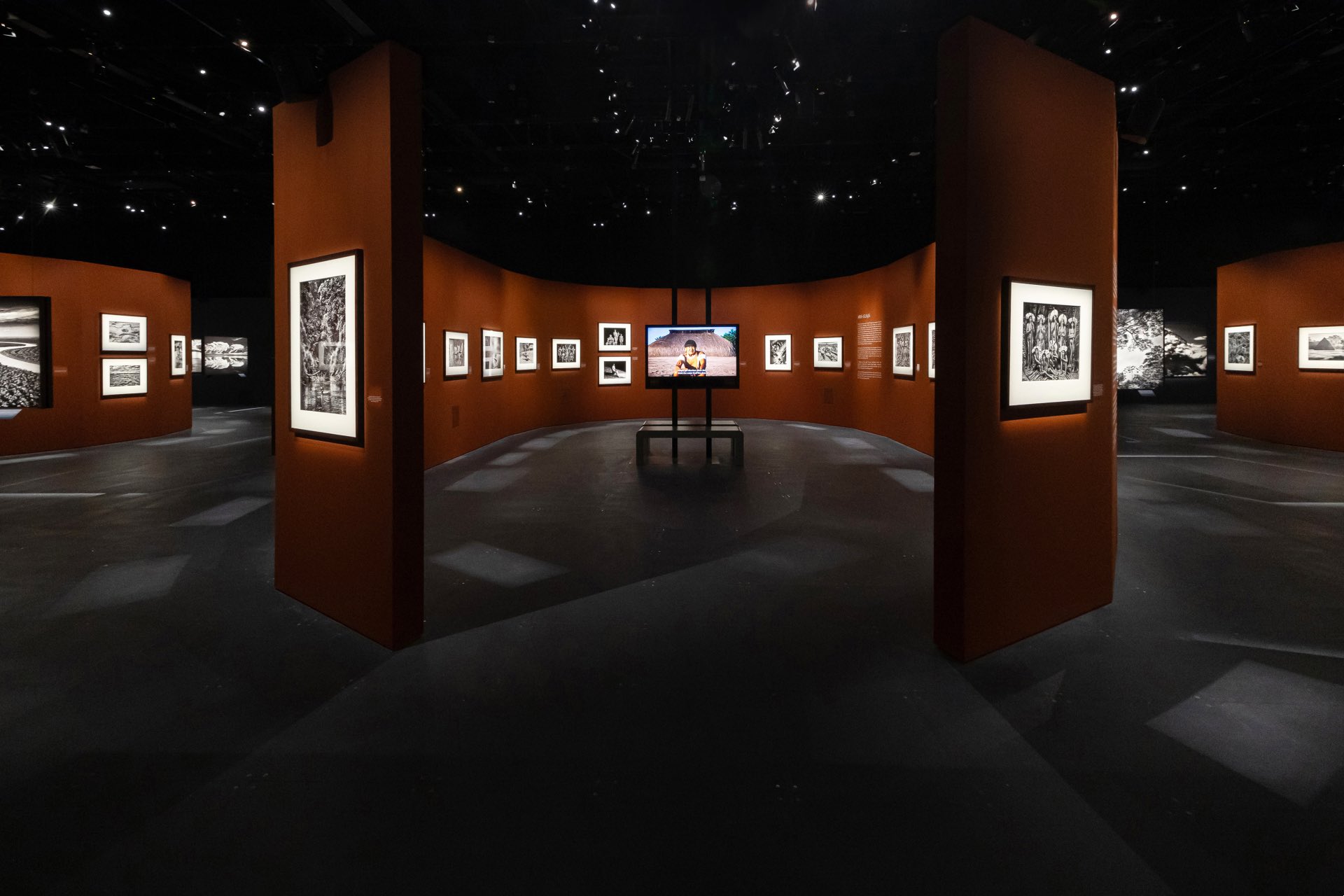 See the majesty of the Amazon rainforest at National Museum of ...
